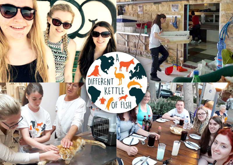 Beth’s VET project in Aruba – Erasmus+ – ADKOF 9 - Everything Is ...