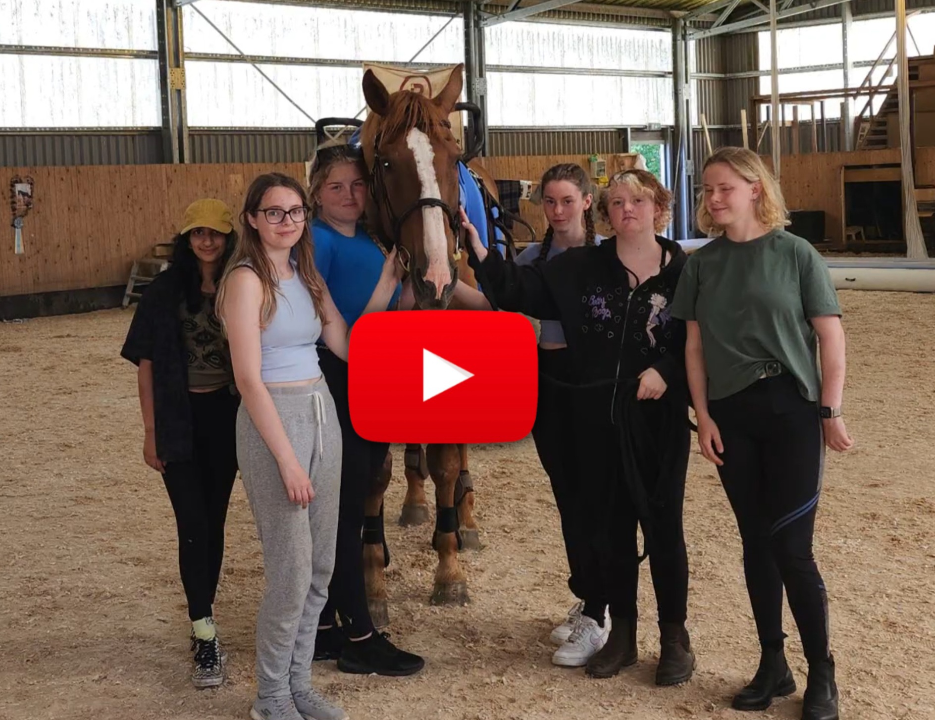 Askham Bryan College's animal care project in Sweden 🐴 - Turing Scheme ...